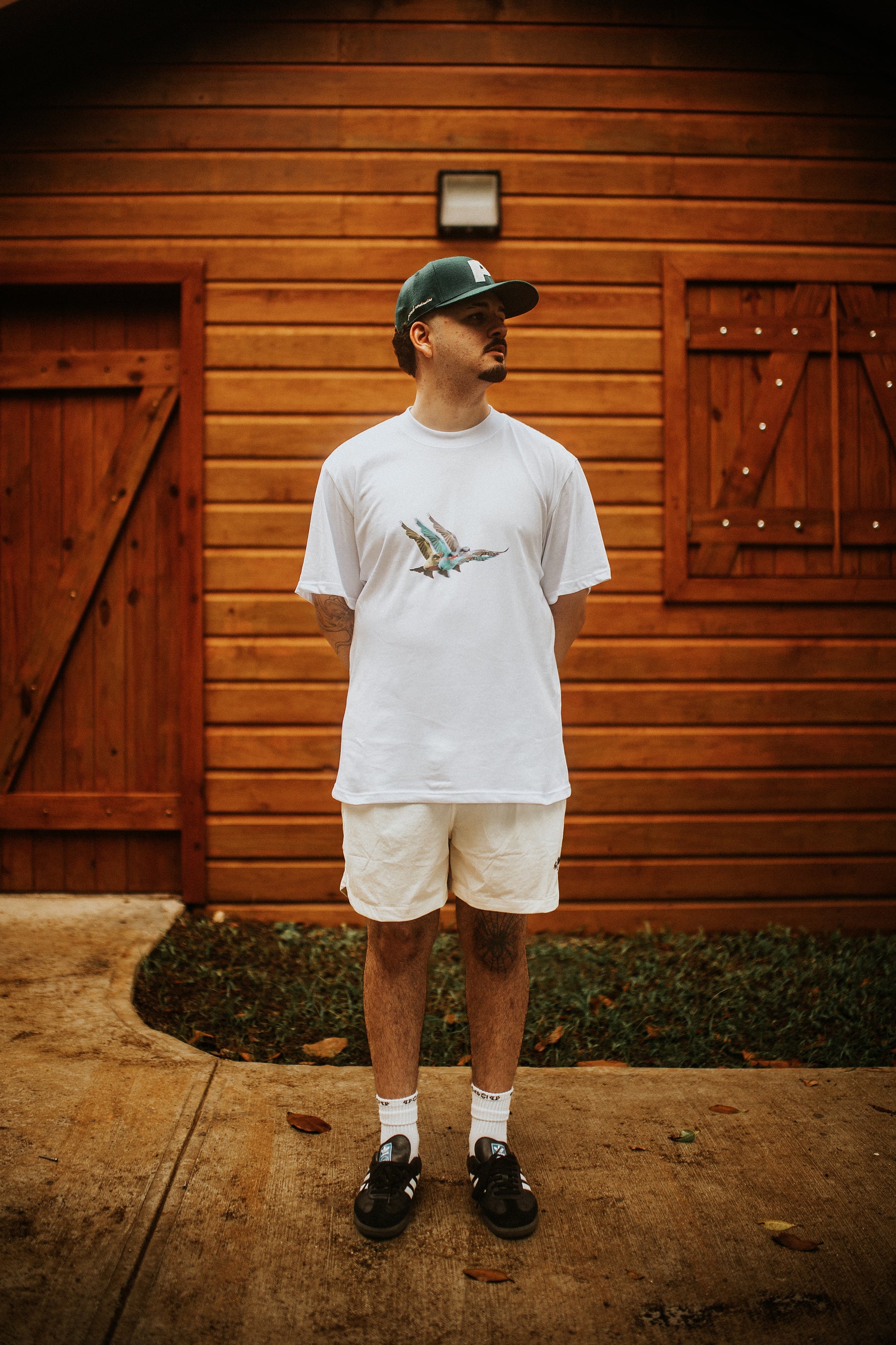 Pícalo – PícaloPR